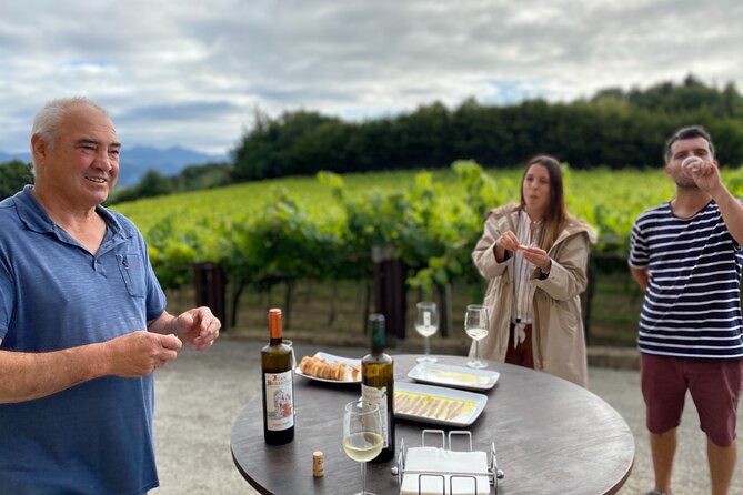 Private Tour at a Family Winery and Basque Coast Route - Practical Details and Value