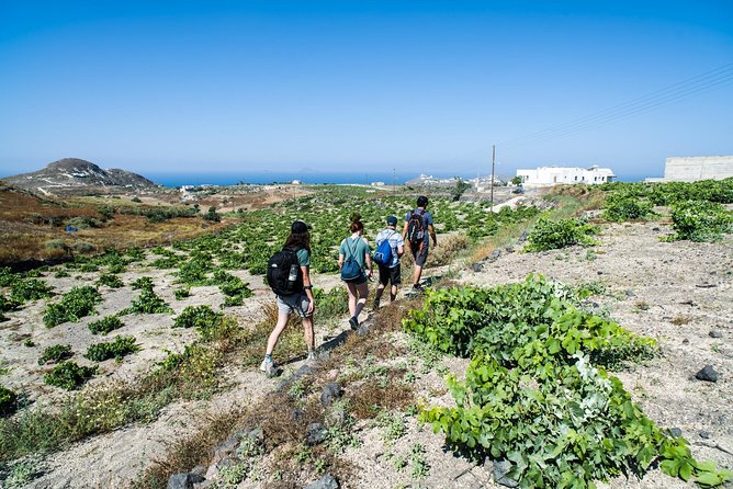 Santorini : Cooking Class & Easy Hike - Final Thoughts: Is It Worth It?