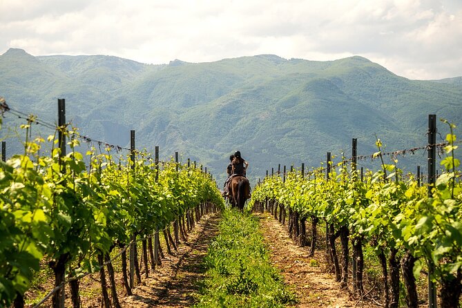 Half-Day of Horseback Adventure with Wine Tasting - Final Thoughts: Is This Tour For You?