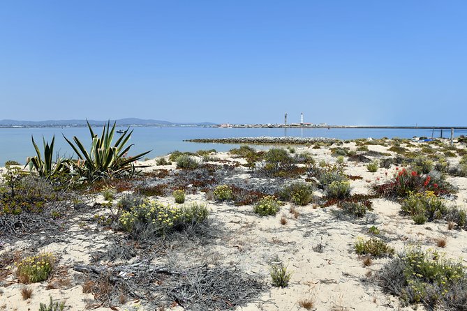 Private Sightseeing Boat Tour in Ria Formosa at Olhão - Final Thoughts