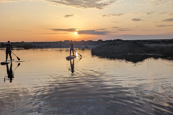 Sardinia: SUP tour at sunset - Final Thoughts: Who Should Consider This Experience?