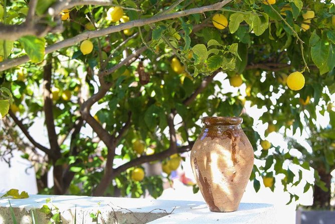 Viator Exclusive: Local Cooking Class & Dinner with View of Nice - FAQ