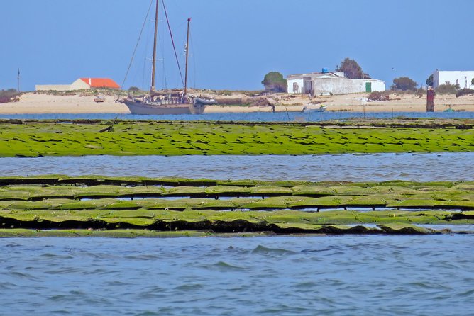 Private Sightseeing Boat Tour in Ria Formosa at Olhão - References