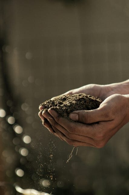 "A Day as a Farmer" Experience
