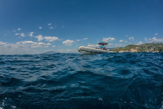 Afternoon snorkelling guided by a marine biologist in Sorrento