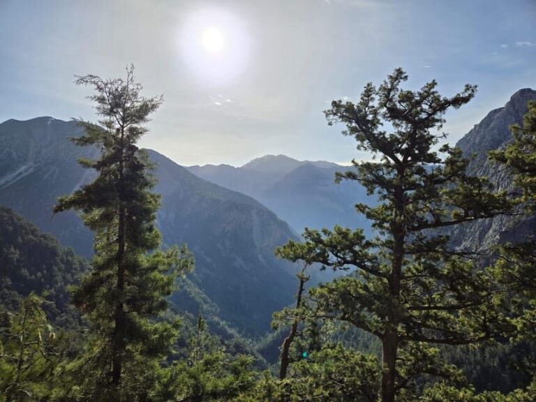 Agia Marina: Discover Samaria, the longest gorge in Europe! - What’s Included in the Tour?