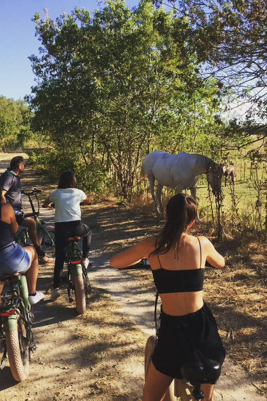 Aigues Mortes: safari en vélo - Ebike tour in Camargue