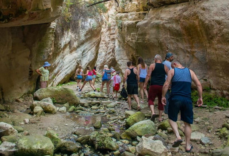 Akamas Jeep Safari Tour from Paphos