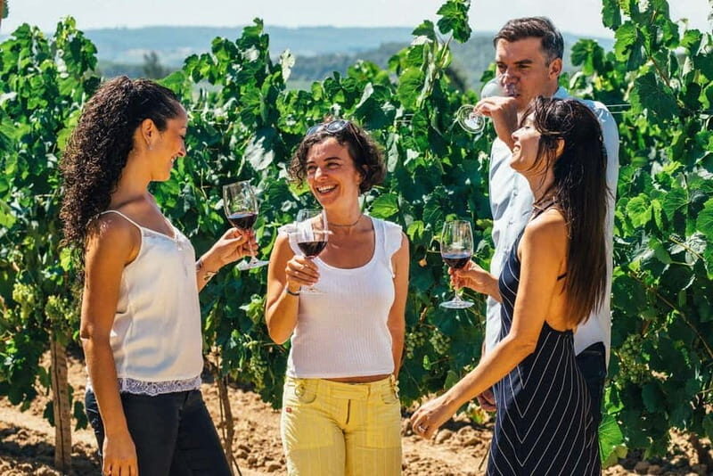 Albufeira: Wine Tasting Tour with Castle and Windmill Visit