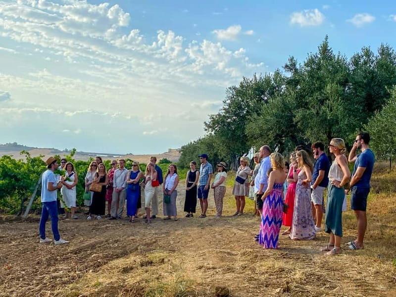 Alcamo: Natural Wine & Olive Oil Tasting - Sicily