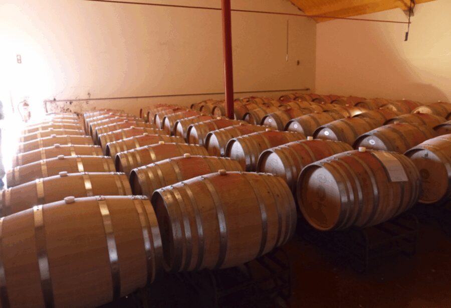 Algarve Wine Tour of two estates guided by wine expert