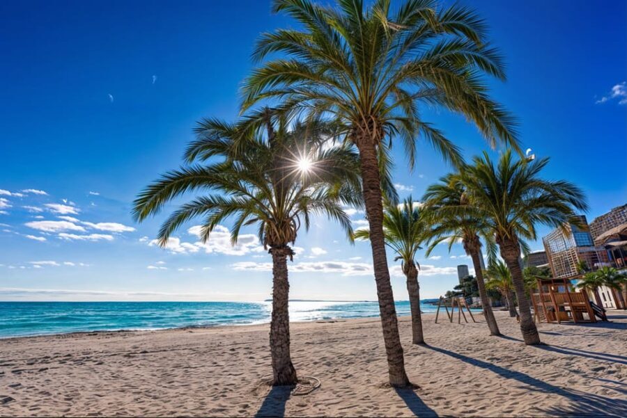 Alicante: Spot the Mediterranean by E-bike