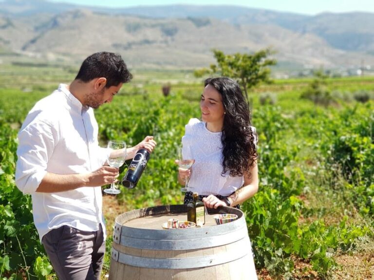 Almería: Wine tour and tasting in Organic Winery - Tasting the Wines