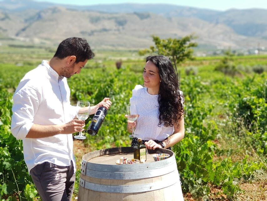 Almería: Wine tour and tasting in Organic Winery