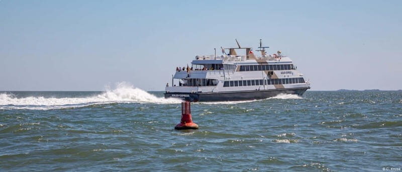 Amrum: Day trip by boat to Hallig Hooge
