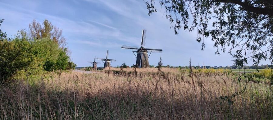 Amsterdam & Countryside Private Tour by premium car