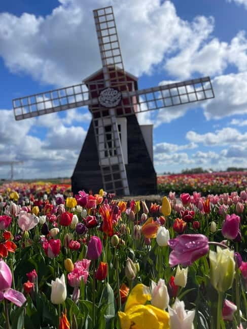 Amsterdam: Villages, Cheese, Windmills,Clogs &county site