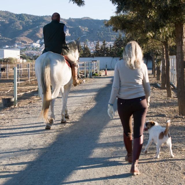 Andalucia: Horse Riding Tour with Picnic - A Genuine Taste of Spain on Horseback