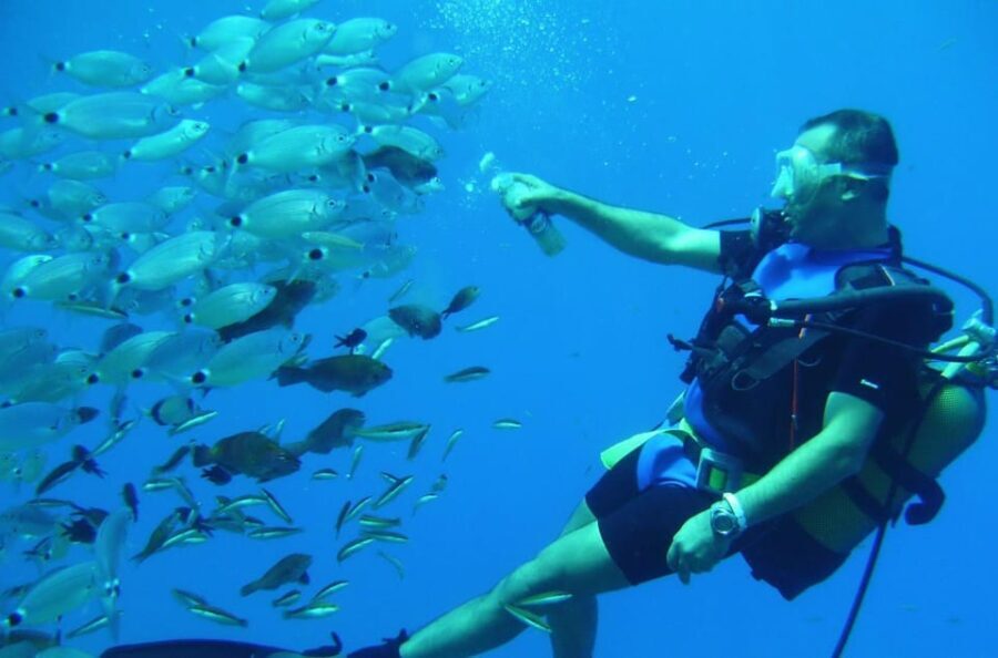 Antalya/ Kemer/ Belek Scuba Diving With Lunch & Transfer
