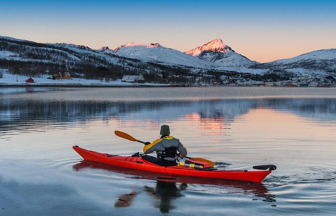 Arctic Fjordcruise & Safari in Tromso with Luxury Catamaran - The Experience: What to Expect on the Fjordcruise