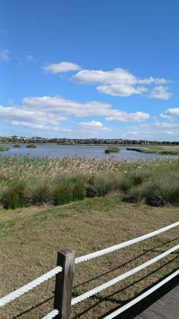 Armação de Pera: Salgados Natural Park E-Bike Tour