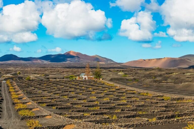 Arrecife: Timanfaya and Green Lagoon for Cruise Passengers - Who Will Love This Tour?
