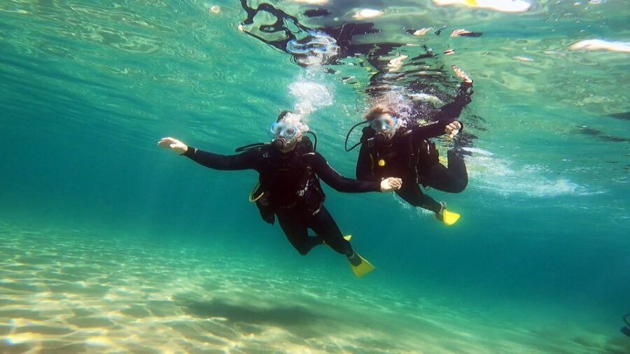 Athens East Coast: Discover Scuba Diving in Nea Makri