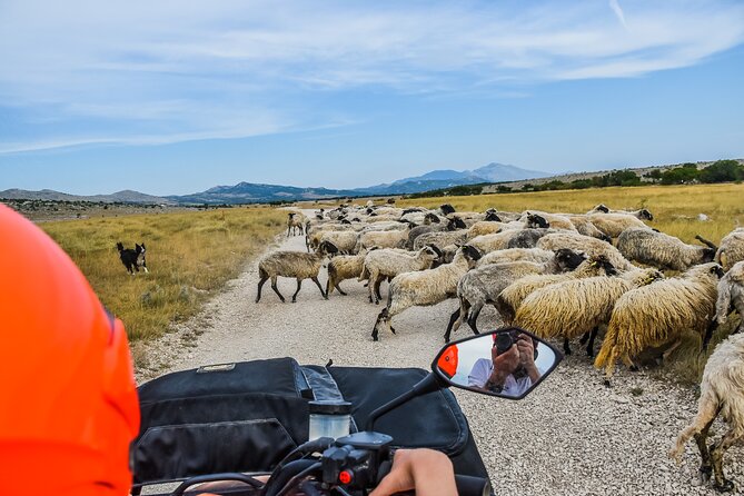 ATV Dinara Mountain tour with picnic - Key Points