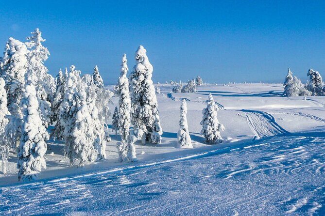 ATV Safari on Ice and Snow