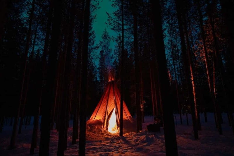 Aurora Hunting with Reindeer
