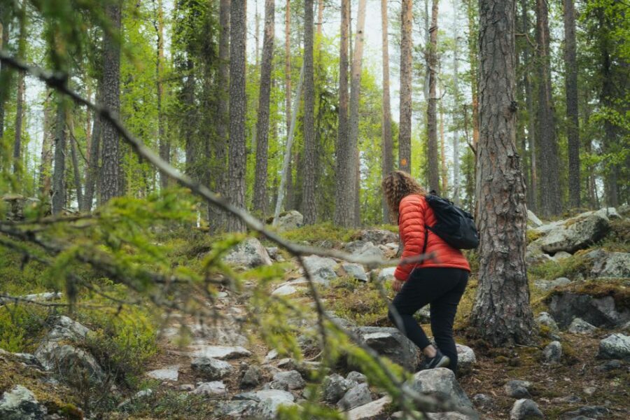 Auttiköngäs Hiking Experience