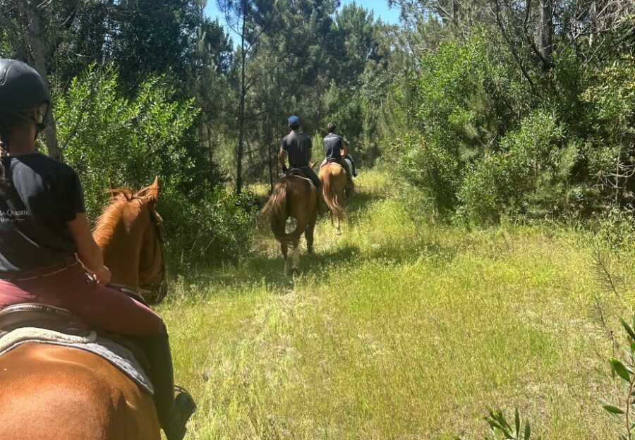 Aveiro: Horse Riding Experience with Instructor