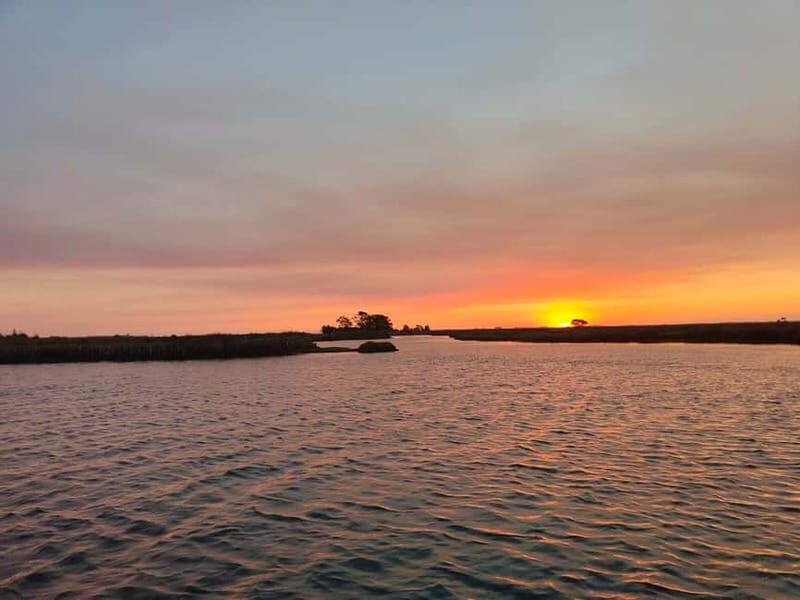 Aveiro: Ria Highlights Boat Tour