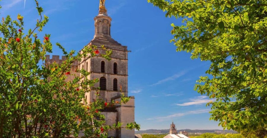 Avignon: Express Walk with a Local in 60 minutes