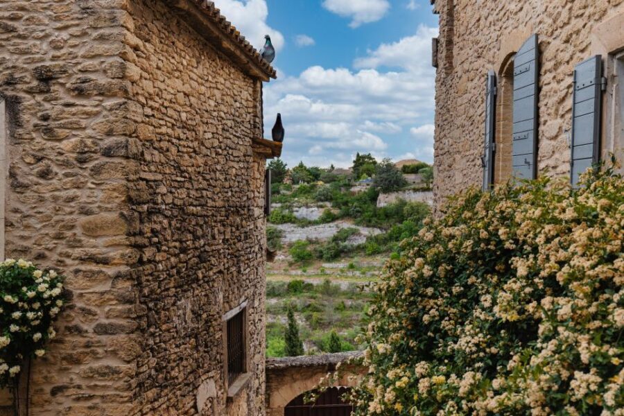 Avignon : Full-Day Châteauneuf du Pape wines & Luberon Tour