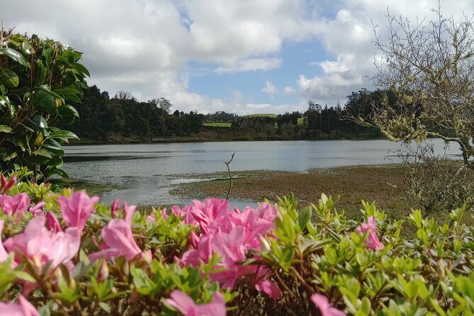 Azores: 1 Day Private Tour Furnas Volcanic Activity & Hot Springs