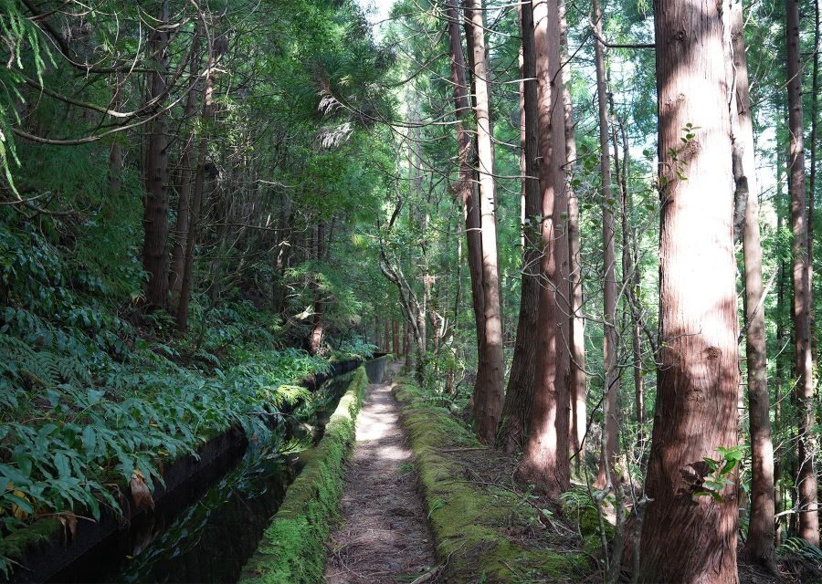 Azores: São Miguel and Lagoa do Fogo Hiking Trip