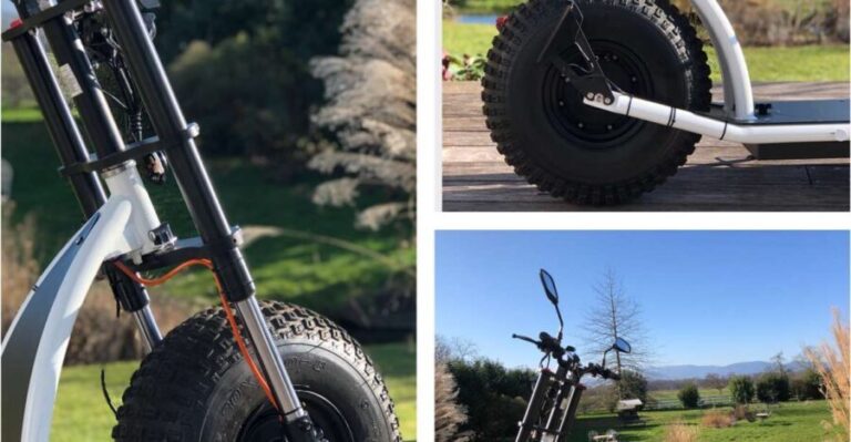 Baden-Baden: Private Guided KNUMO e-Scooter Tour VIP - What’s Included and What’s Not