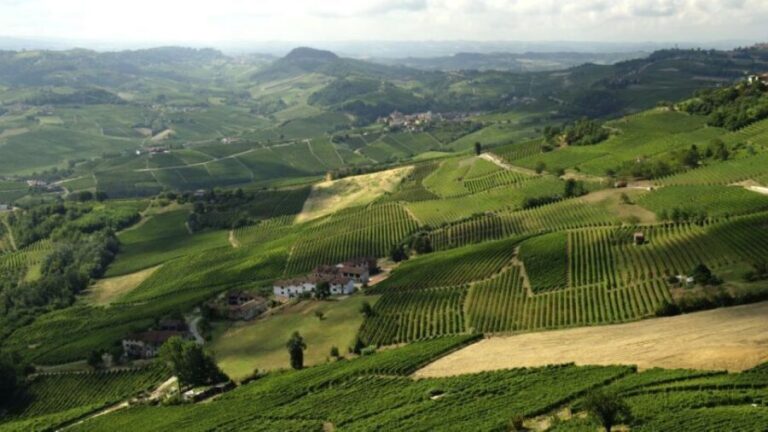 Barbaresco: E-Bike Tour of Piedmont Wineries with Tastings - Who Will Love This Tour?