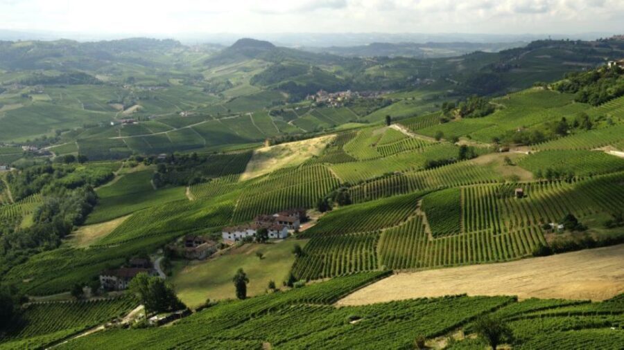 Barbaresco: E-Bike Tour of Piedmont Wineries with Tastings - Who Will Love This Tour?
