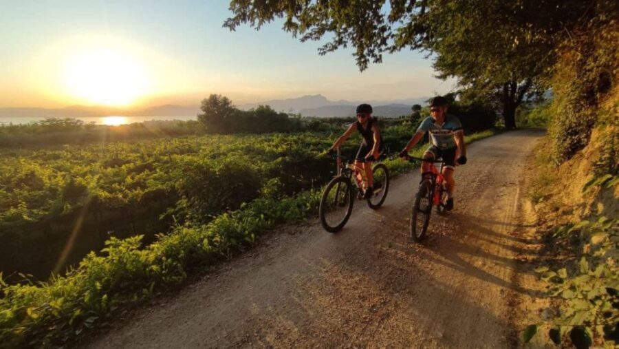 Bardolino: e-bike tour and wine tasting on the hills