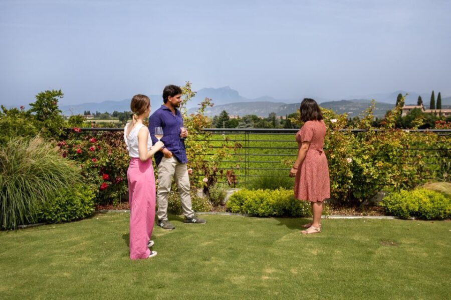 Bardolino: Vineyard Tour with Wine and Food Tasting