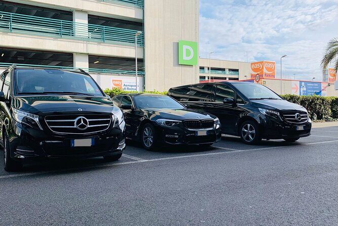 Bari Cruise Port to Bari Intl Airport (BRI) - Departure Private Transfer - Meeting Point and Logistics