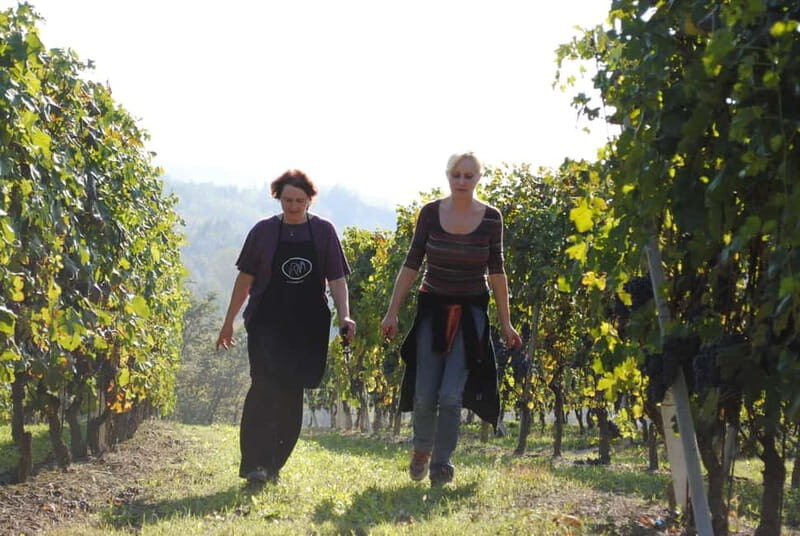 We Rank The 7 Best Wine Tours In Barolo