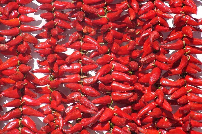 Basque Country Food Tour