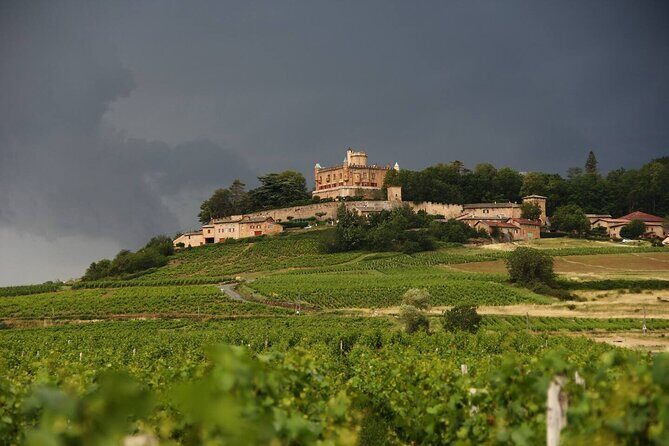 Beaujolais Wine Tour - Tastings & Gourmet Picnic Lunch