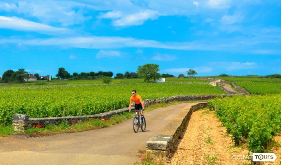 Beaune: Winery Tour by Bike with Wine Tasting