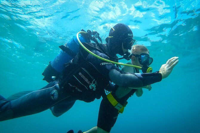 Beginner Diving Experience in Ligaria Bay