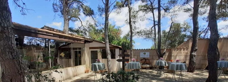 Binissalem: Individual vineyard tour and wine tasting in German - A Closer Look at What to Expect