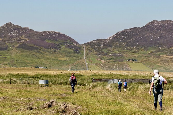 Bog Safari Hike - Ireland’s Hidden Treasure: The Bog Safari Hike